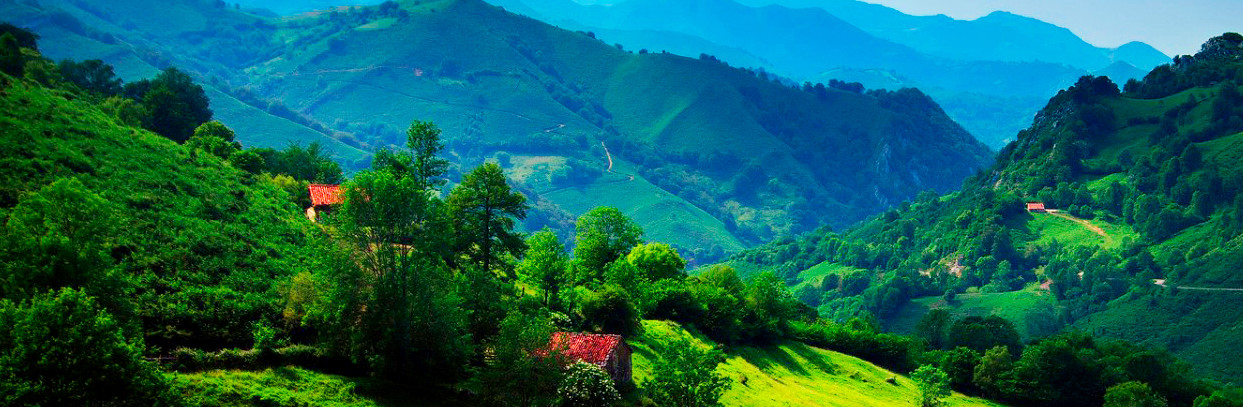 Resources for Families | UMSL