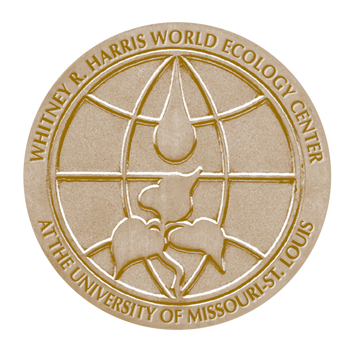 About the Center | UMSL