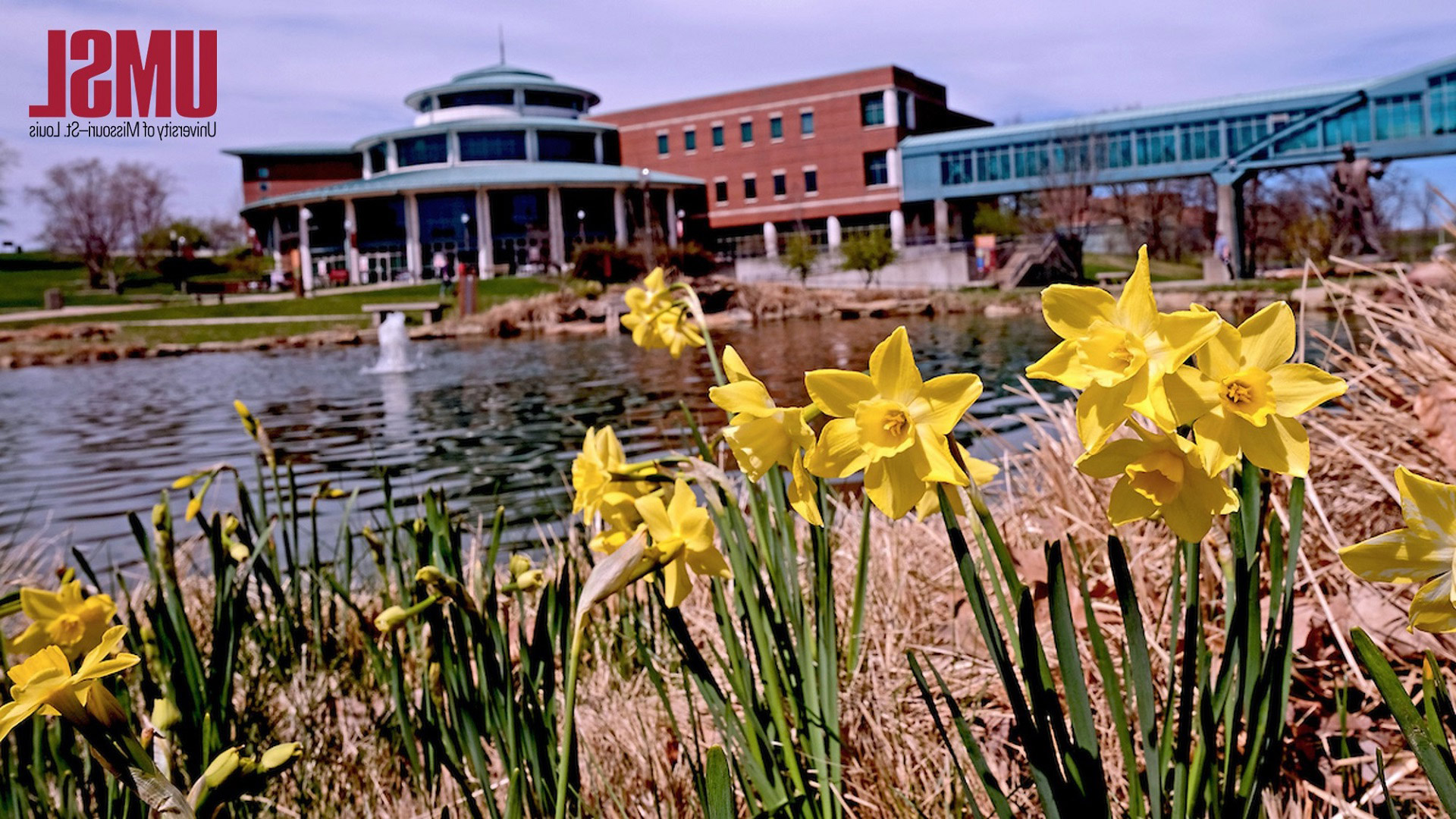 Digital Downloads: Zoom Backgrounds | UMSL