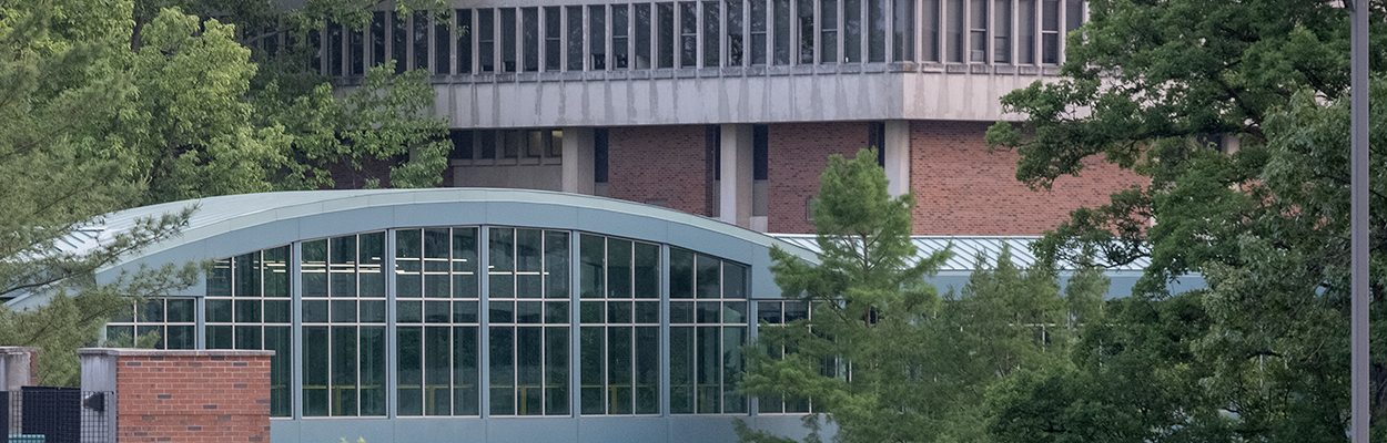 Develop your Proposal | UMSL