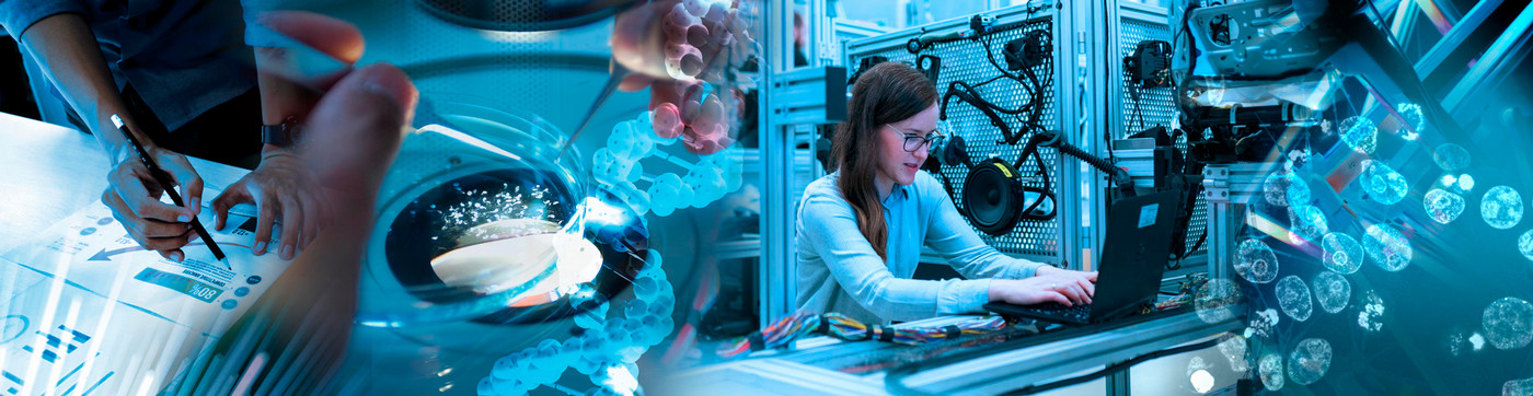 Scientific Illustration & Graphic Design Services | UMSL