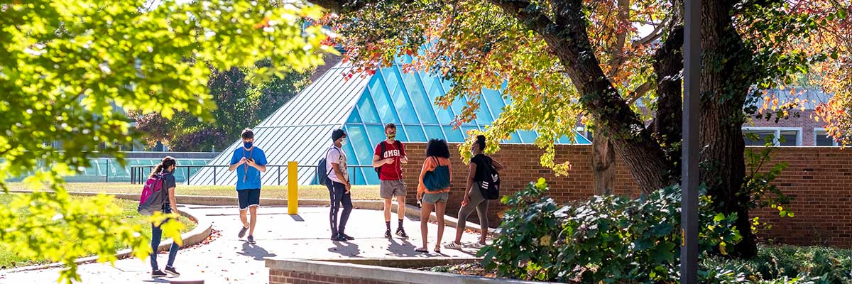 University Libraries | UMSL