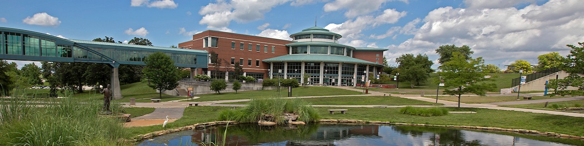 Meet the Team | UMSL