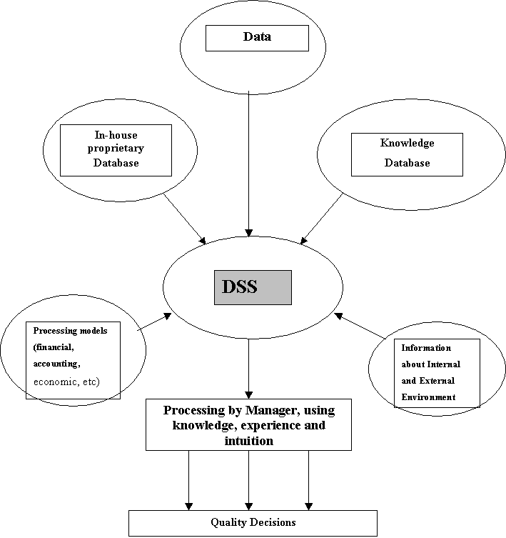 Decision Support Systems (DSS)